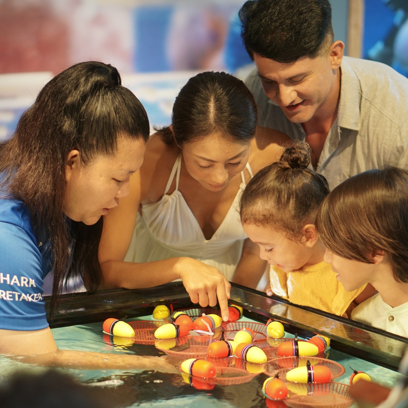 JW Marriott Khao Lak Resort & Spa partners with OFA to host guests on a ...